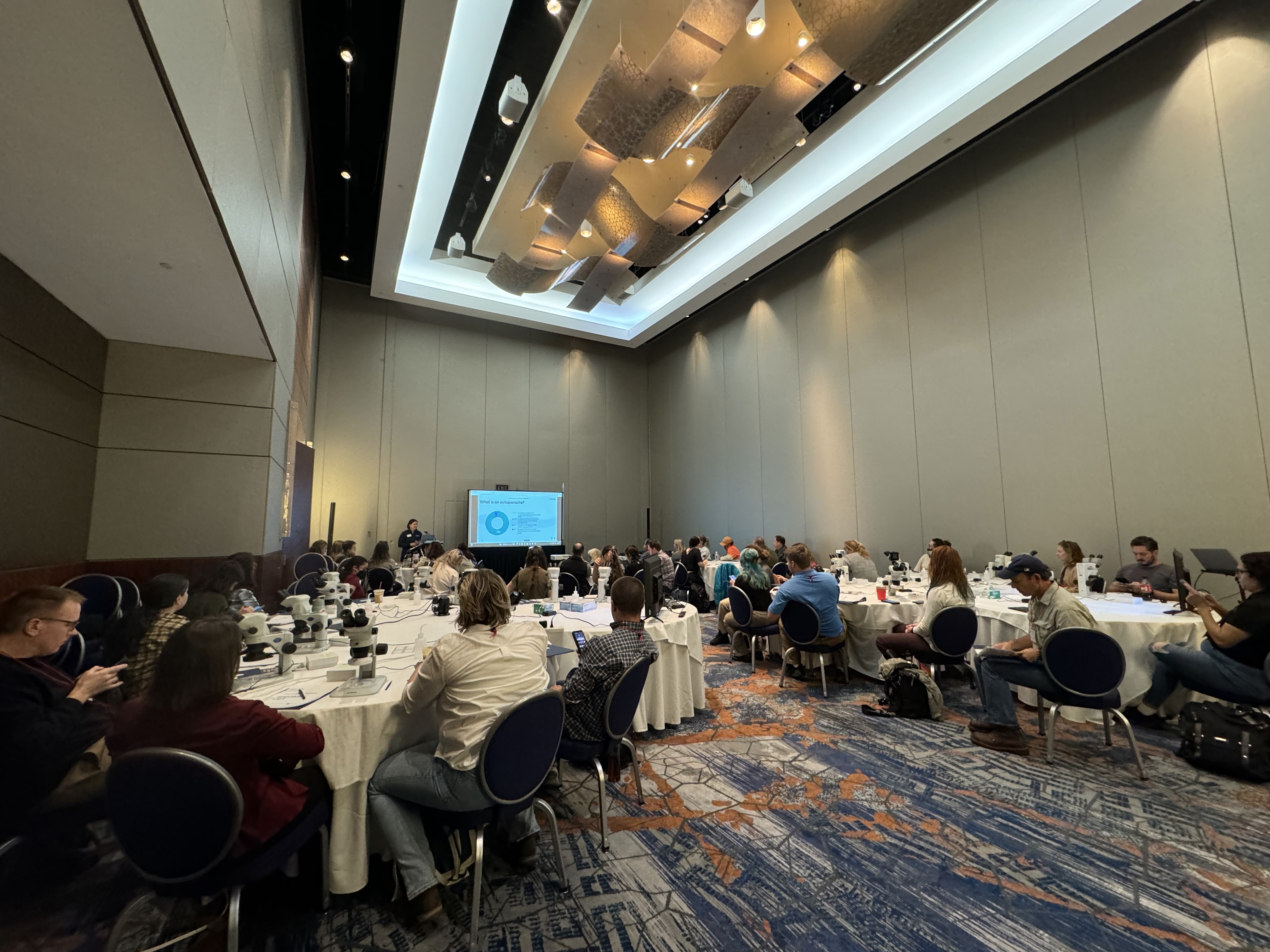 From Bites to Insights: Hands-on Ectoparasite and Vector Identification ...